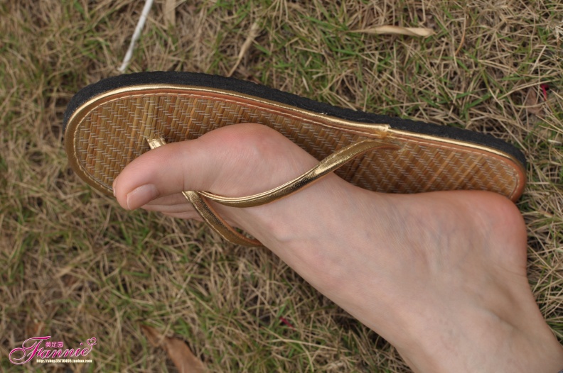 DSC 6667 | （福妹）主题相册